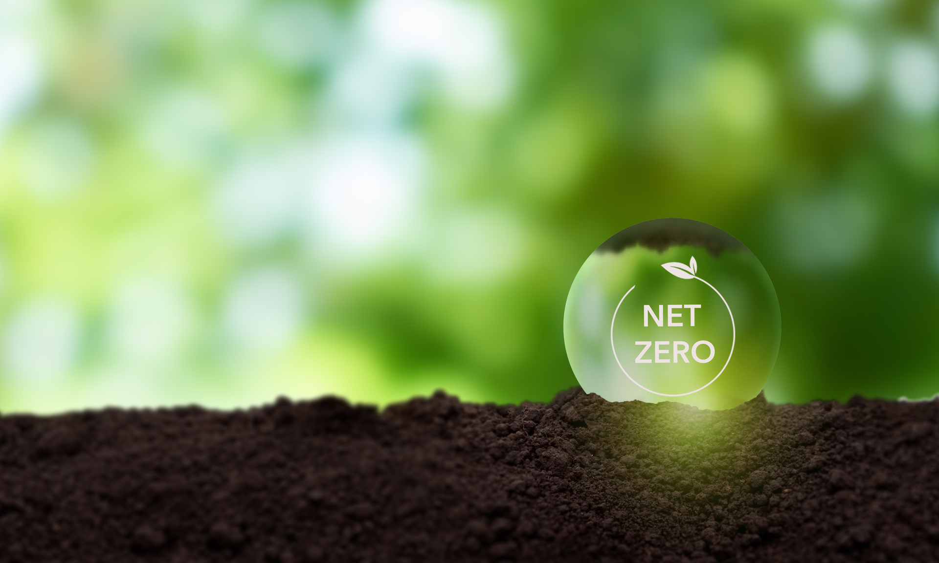 How to meet your corporate commitment to net-zero | Microgrid Knowledge