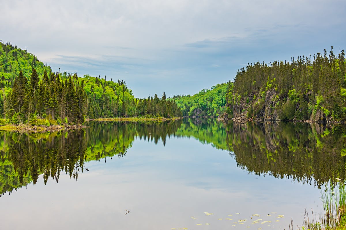 Canada Invests $35 Million in First Nation Biomass CHP Project ...