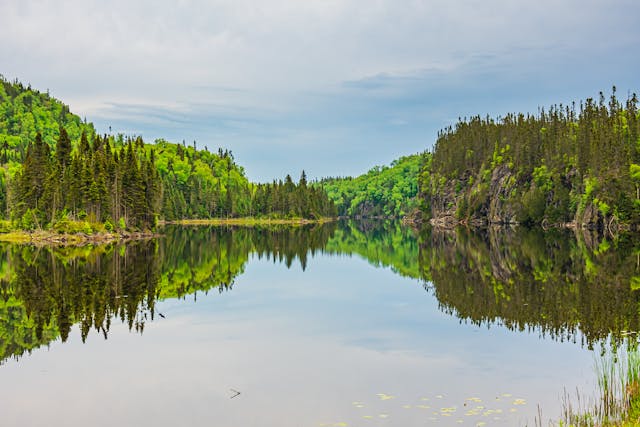 Canada Invests $35 Million in First Nation Biomass CHP Project ...