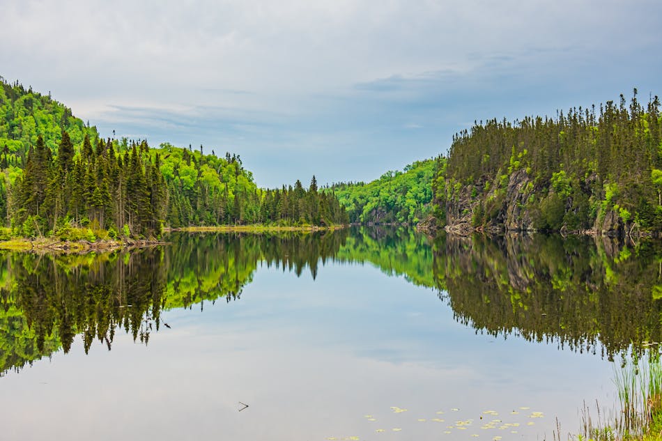 Canada Invests $35 Million in First Nation Biomass CHP Project ...