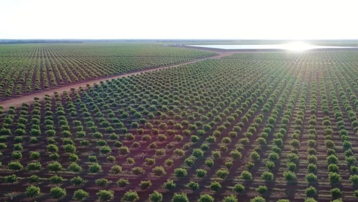 AGL Energy developing Solar-Storage Microgrids for Australian Almond ...